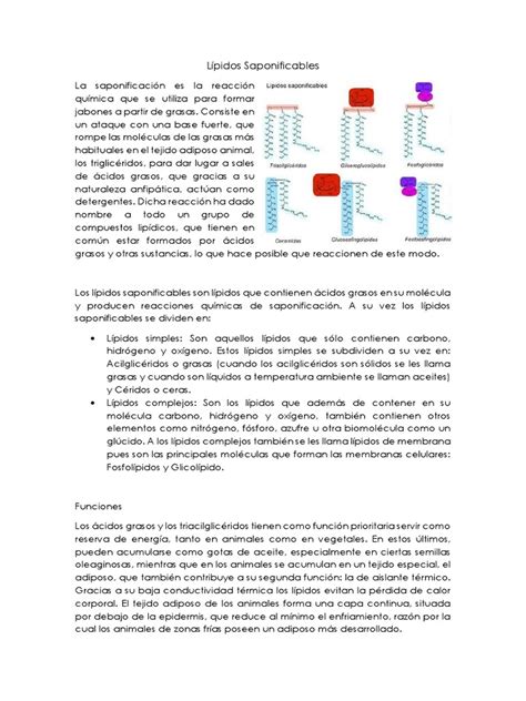 Lípidos Saponificables Pdf Lípido Moléculas Activas De Membrana
