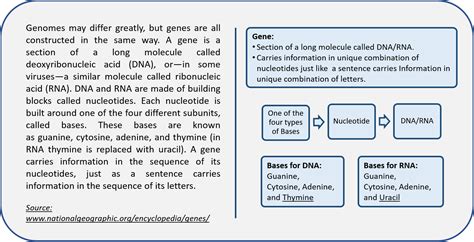 Visual Learning Style Examples