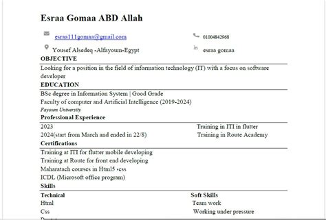 Esraa Gomaa Abdullah Shamkh Posted On Linkedin