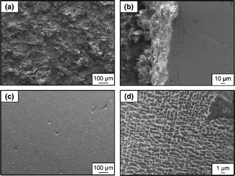 Secondary Electron Image Of The A Top Coat B Sample Cross Section