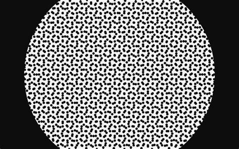 030 Karel Martenss Kinetic Work Saneef H Ansari Observable