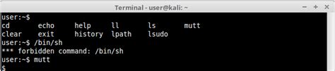Restricted Linux Shell Escaping Techniques FireShell Security Team