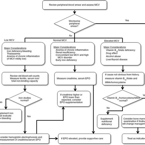 A E Selected Screenshots Of Anaemia Algorithm Mobile Application