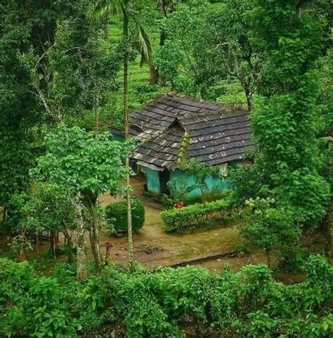 මීටරේ Meetare වඳවී යන නිහැඬියාව 😍😍 Facebook