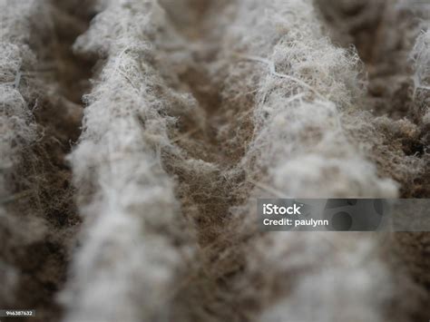 가정 공기 필터 가까이 매크로 줌 표시 먼지 및 입자 발생 박테리아 굴절 및 질병 공기조화에 대한 스톡 사진 및 기타 이미지 공기조화 깨끗한 대체 Istock