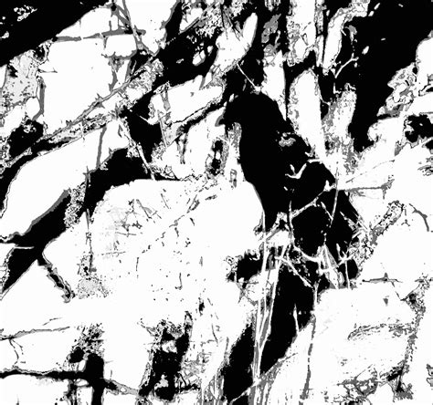 Inconspicuous Shutterbug