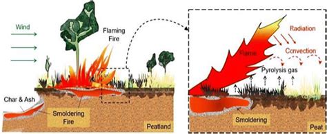 Schemes Of Flaming And Smouldering Peatland Fires And The Possible Download Scientific Diagram