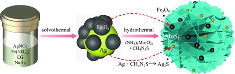 Schematic Illustrating The Synthesis Of Ag2s Fe3o4 Mos2 Nanocomposites Download Scientific Diagram