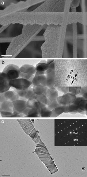 Sem Image Of The Porous Zno Nanobelts On Si Substrate The Scale Bar Is Download Scientific