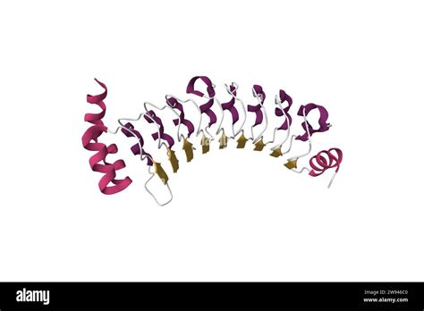Crystal Structure Of Ras Suppressor 1 3d Cartoon Model Secondary Structure Color Scheme Pdb