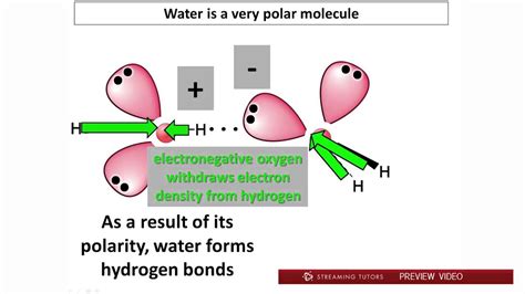 biochemistry water ph and buffers part 1 tutorial youtube