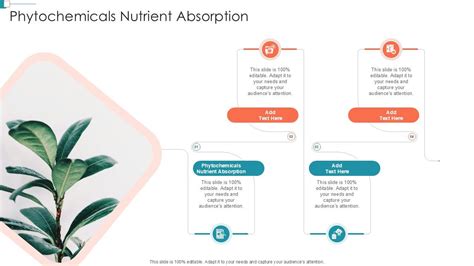 Phytochemicals Nutrient Absorption Ppt Sample Cpp PPT PowerPoint