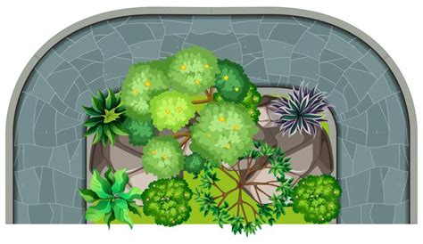 Tree Plan View Vector Art Icons And Graphics For Free Download