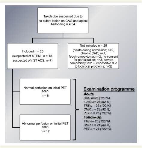 Figure 1 From Basal Hyperaemia Is The Primary Abnormality Of Perfusion In Takotsubo
