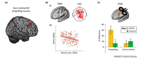 neural correlates of directed forgetting df a an activation map of