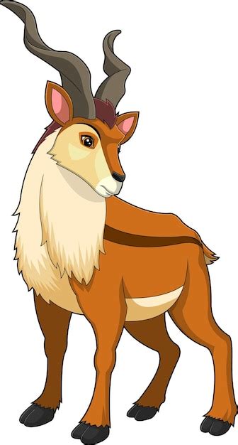 Premium Vector Markhor Animal Cartoon Character
