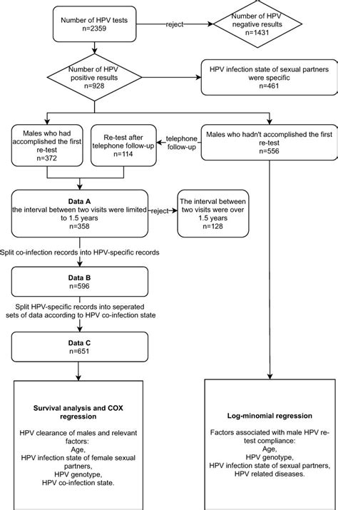 Flow Chat Of Data Processing And Analysis Download Scientific Diagram