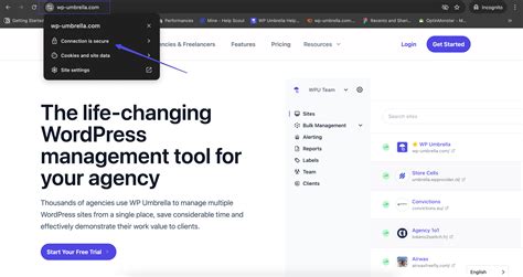 Resolving Ssl Issues In Wordpress A Step By Step Guide Wp Umbrella