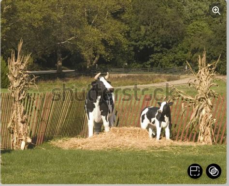 Change One Word Page 788 Big Board Of Fun LoversLab