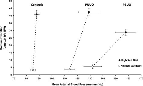 Renal Function Curves During Different Sodium Conditions Illustrating Download Scientific
