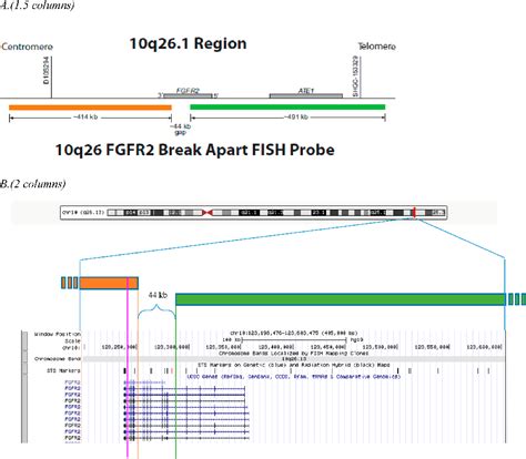 Figure 2 From A Robust Fish Assay To Detect Fgfr2 Translocations In