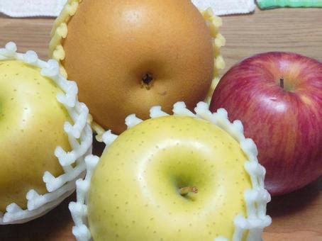 무료 사진 제목