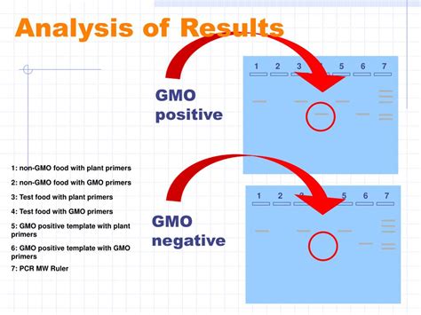 PPT Todays PCR GMO Detection PowerPoint Presentation Free Download ID