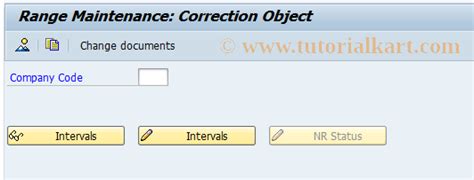 REITTCID SAP Tcode Bj Transaction Code