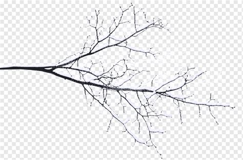 Branch Tree Twig Snow Branches Winter Leaf Grass Png PNGWing