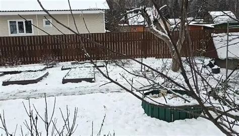 Обрезка на клик яблоню для сдерживания роста в длину ВСЕ ОБ Обрезке Плодовых Дзен