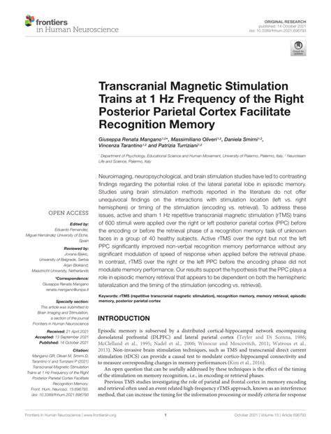 Pdf Transcranial Magnetic Stimulation Trains At 1 Hz Frequency Of The Right Posterior Parietal