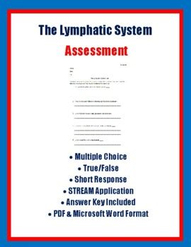 The Lymphatic System Test By Facilitator Of Aha Moments TpT