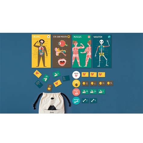 Образователна игра Лонджи Човешкото тяло Emagbg