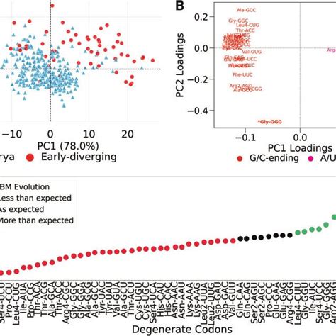 phylogenetic analysis of genome wide codon usage frequencies a pca