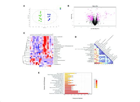 Negative Ion Mode Multivariate Statistical Analysis Heat Map
