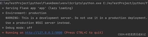 Python Web框架flask使用 python web框架flash使用 CSDN博客