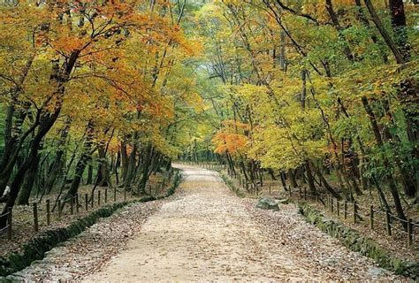 내가 사랑하는 시 안도현 가을 엽서 Mania