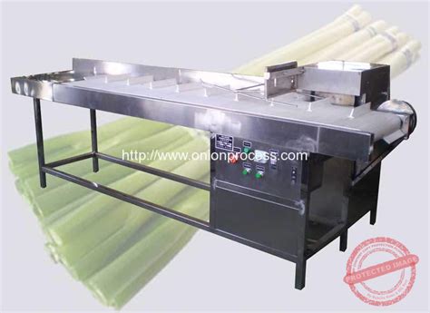 Semi Automatic Carrot Green Leaf Cutting Machine Carrot Processing