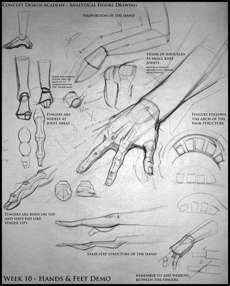 Analyticalfiguresp Blogspot Au Search Updated Min T Updated