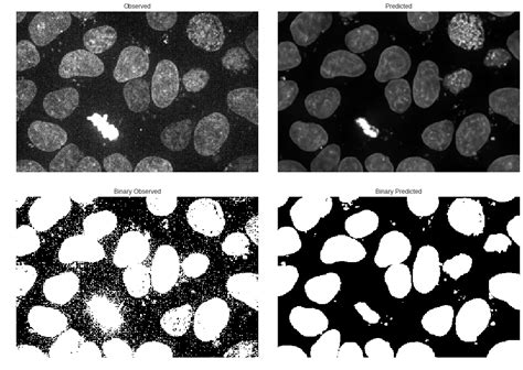 Fluorescence Images Without Fluorescent Markers Aics Modeling