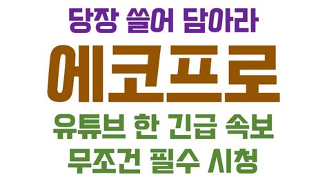 에코프로 주가전망 에코프로주가 에코프로전망 에코프로주가전망 Youtube