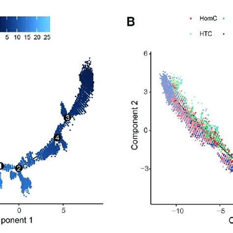 Pseudo Temporal Trajectory Revealing The Chondrocyte Progression A