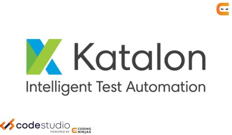 How To Execute And Debug A Test Case In Katalon Studio Naukri Code