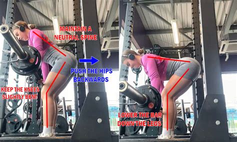 Barbell Rdl The Ultimate Guide Robor Fitness