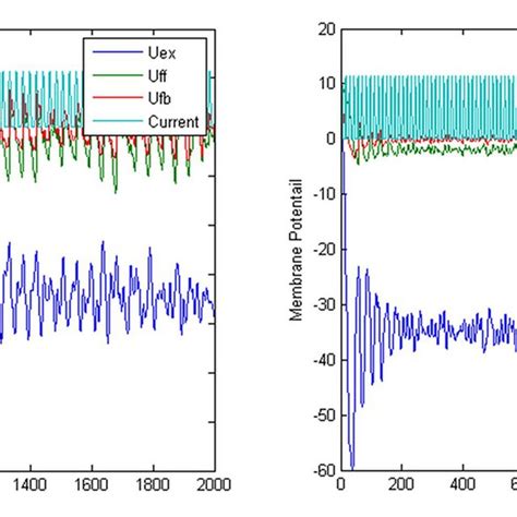 The Oscillatory Activity Of Lpfc Cell Assemblies Representing The
