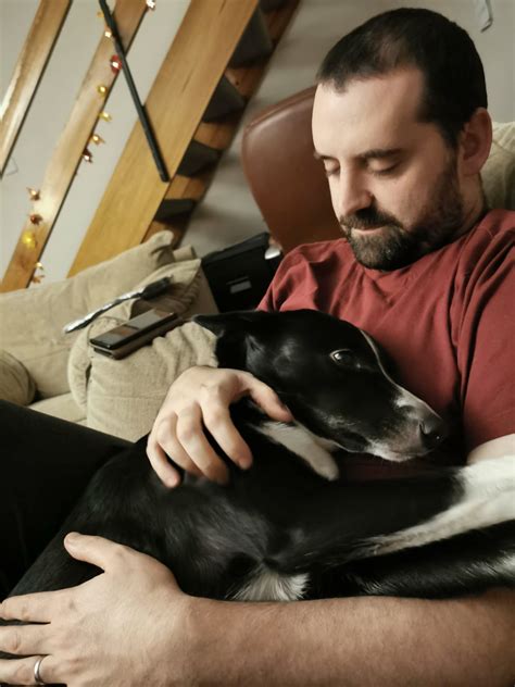 I Was Told That Female Border Collies Are Not Very Affectionate This