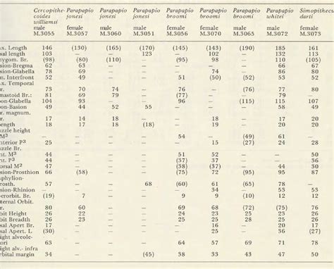 Table Ii From New Fossil Cercopithecoidea From The Lower Pleistocene Cave Deposits Of The