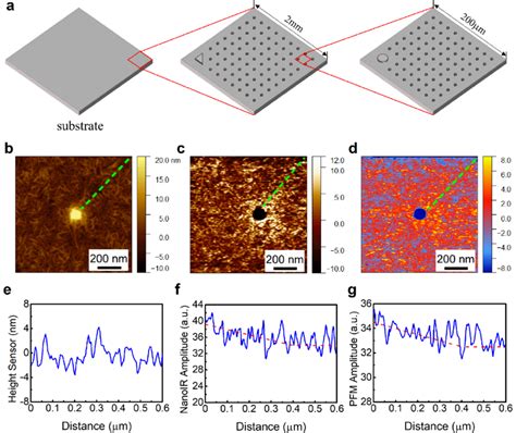 A Schematic Of Substrate Structure B The Topography C Pfm Mapping And