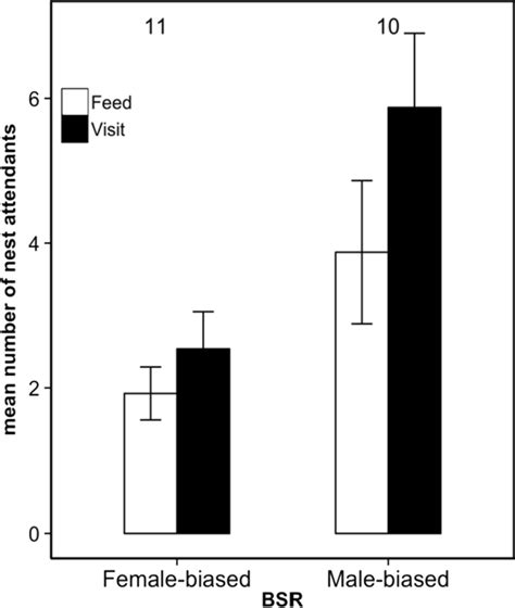 Mean SE Of Variations In The Mean Number Of Nest Attendants Other Download Scientific Diagram