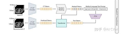 文本引导的3d胸部ct生成 知乎 文本引导的3d胸部ct生成 知乎